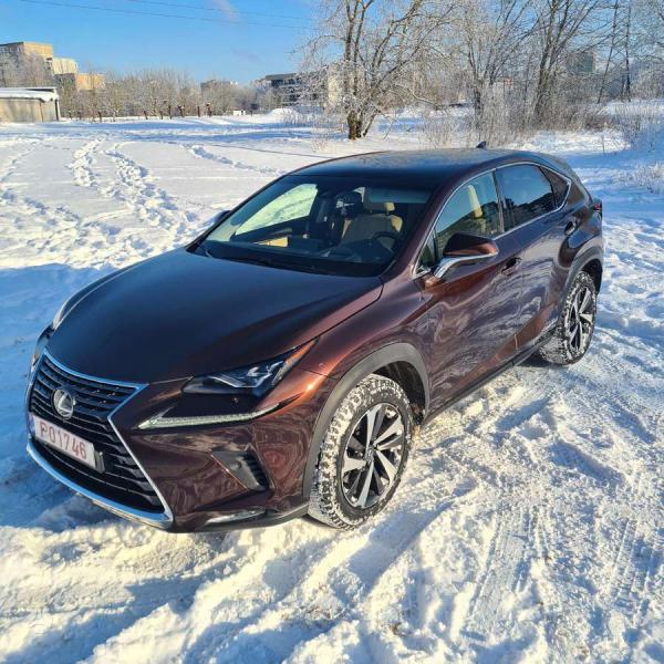 Brown Lexus NX 300h 2018 in Vilnius, with an engine capacity of 2.49 L and mileage of 155 thousand km for 26400 €, photo 9 on AUTOMOTO.COM.LV
