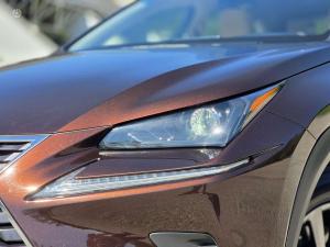Коричневый Лексус NX 300h 2018 в Вильнюс, объемом двигателя 2.49 л и пробегом 105 тыс. км за 25500 €, фото 3 на AUTOMOTO.COM.LV