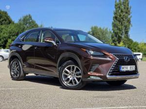 Коричневый Лексус NX 300h 2018 в Вильнюс, объемом двигателя 2.49 л и пробегом 105 тыс. км за 25500 €, фото 9 на AUTOMOTO.COM.LV
