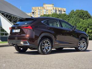 Коричневый Лексус NX 300h 2018 в Вильнюс, объемом двигателя 2.49 л и пробегом 105 тыс. км за 25500 €, фото 13 на AUTOMOTO.COM.LV