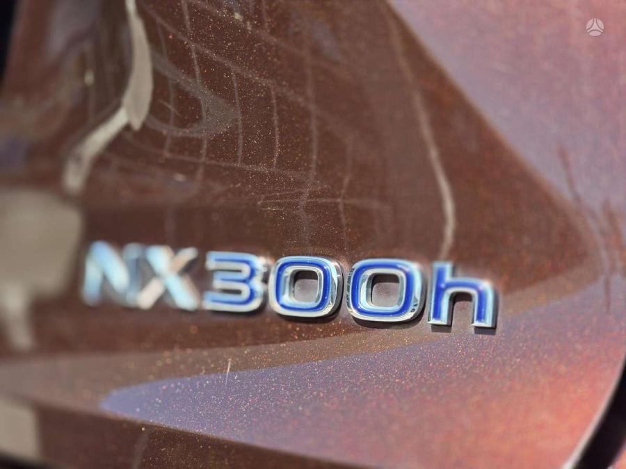 Коричневый Лексус NX 300h 2018 в Вильнюс, объемом двигателя 2.49 л и пробегом 105 тыс. км за 25500 €, фото 14 на AUTOMOTO.COM.LV
