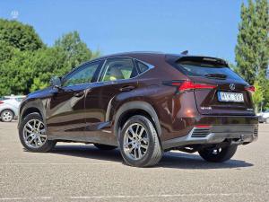 Коричневый Лексус NX 300h 2018 в Вильнюс, объемом двигателя 2.49 л и пробегом 105 тыс. км за 25500 €, фото 21 на AUTOMOTO.COM.LV
