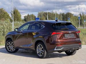 Brūns Lexus NX 300h 2018 Tauragė, ar dzinēja tilpumu 2.50 L un nobraukumu 163 tūkst. km par 23500 €, foto 7 vietnē AUTOMOTO.COM.LV