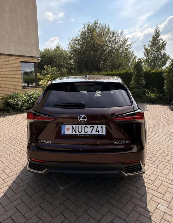 Brown Lexus NX 300h 2019 in Kaunas, with an engine capacity of 2.49 L and mileage of 93 thousand km for 31000 €, photo 6 on AUTOMOTO.COM.LV