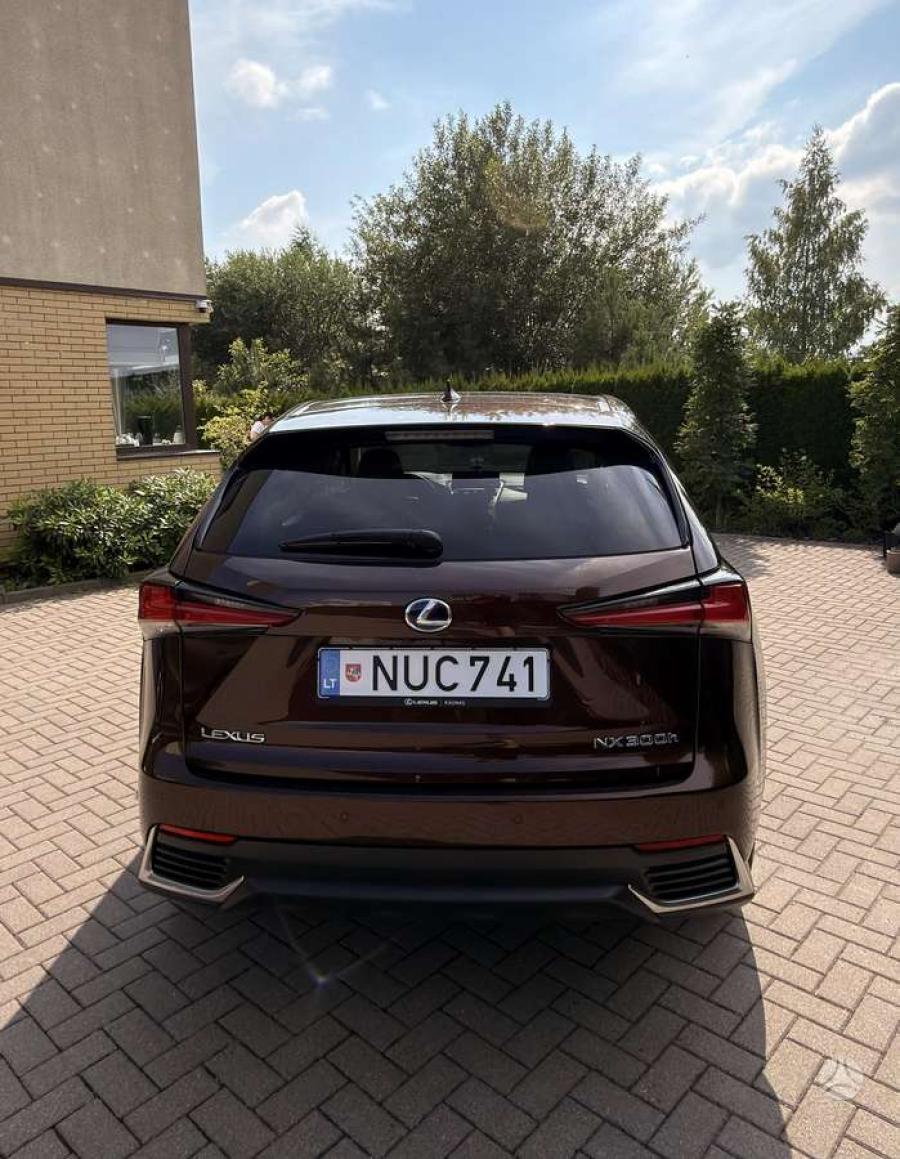 Коричневый Лексус NX 300h 2019 в Каунас, объемом двигателя 2.49 л и пробегом 93 тыс. км за 31000 €, фото 7 на AUTOMOTO.COM.LV