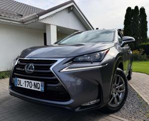 Серый Лексус NX 300h 2015 в Каунас, объемом двигателя 2.50 л и пробегом 200 тыс. км за 18700 €, фото 8 на AUTOMOTO.COM.LV