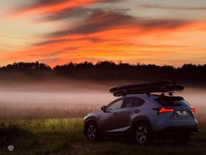 Серый Лексус NX 300h 2016 в Вильнюс, объемом двигателя 2.49 л и пробегом 225 тыс. км за 21500 €, фото  на AUTOMOTO.COM.LV