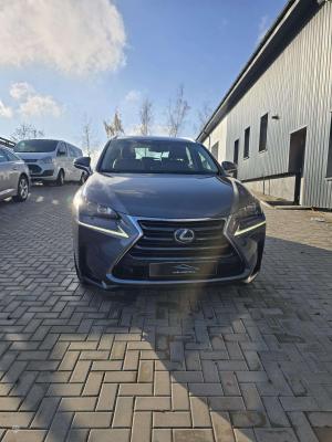 Серый Лексус NX 300h 2016 в Тельшяй, объемом двигателя 2.50 л и пробегом 202 тыс. км за 16499 €, фото 14 на AUTOMOTO.COM.LV
