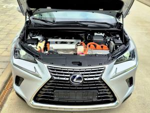Серый Лексус NX 300h 2019 в Вильнюс, объемом двигателя 2.49 л и пробегом 155 тыс. км за 23650 €, фото 51 на AUTOMOTO.COM.LV