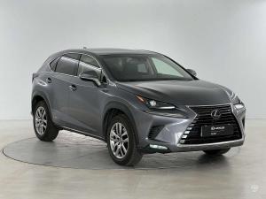 Серый Лексус NX 300h 2019 в Вильнюс, объемом двигателя 2.49 л и пробегом 138 тыс. км за 29900 €, фото 19 на AUTOMOTO.COM.LV