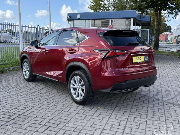 Красный Лексус NX 300h 2016 в Клайпеда, объемом двигателя 2.49 л и пробегом 124 тыс. км за 19200 €, фото 4 на AUTOMOTO.COM.LV