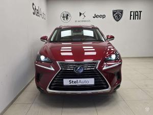 Красный Лексус NX 300h 2018 в Вильнюс, объемом двигателя 2.49 л и пробегом 95 тыс. км за 25490 €, фото 3 на AUTOMOTO.COM.LV