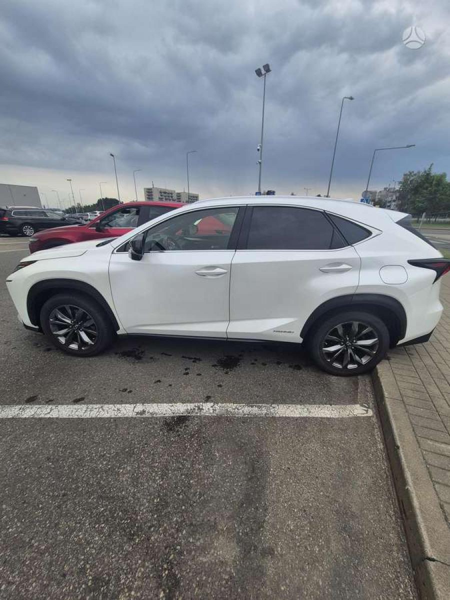 Balts Lexus NX 300h 2015 Viļņa, ar dzinēja tilpumu 2.50 L un nobraukumu 212 tūkst. km par 20000 €, foto 6 vietnē AUTOMOTO.COM.LV