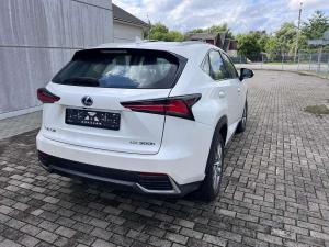 Balts Lexus NX 300h 2018 Panevēža, ar dzinēja tilpumu 2.49 L un nobraukumu 152 tūkst. km par 16599 €, foto 8 vietnē AUTOMOTO.COM.LV