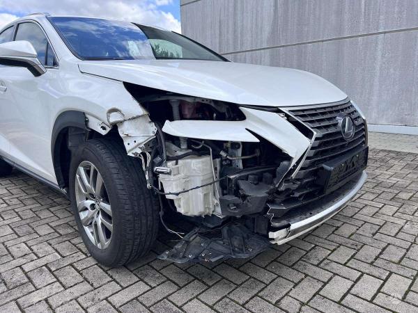 Белый Лексус NX 300h 2018 в Паневежис, объемом двигателя 2.49 л и пробегом 152 тыс. км за 16599 €, фото 10 на AUTOMOTO.COM.LV