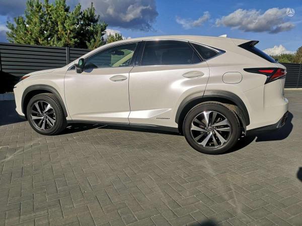 Лексус NX 300h 2020 в Вильнюс на AUTOMOTO.COM.LV Белый Лексус NX 300h 2020 в Вильнюс, объемом двигателя 2.50 л и пробегом 183 тыс. км за 27700 €, фото 11 на AUTOMOTO.COM.LV