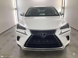 Белый Лексус NX 300h 2021 в Вильнюс, объемом двигателя 2.49 л и пробегом 66 тыс. км за 27999 €, фото  на AUTOMOTO.COM.LV