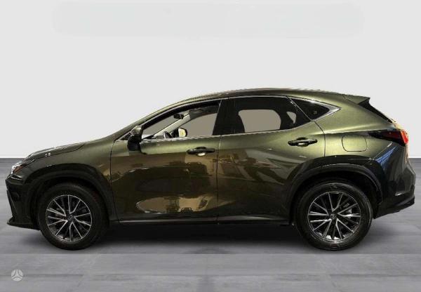Zaļš Lexus NX 350h 2024 Viļņa, ar dzinēja tilpumu 2.49 L un nobraukumu 30 tūkst. km par 45900 €, foto 5 vietnē AUTOMOTO.COM.LV