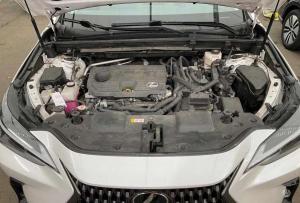 Balts Lexus NX 350h 2023 Viļņa, ar dzinēja tilpumu 2.49 L un nobraukumu 87 tūkst. km par 38990 €, foto 14 vietnē AUTOMOTO.COM.LV