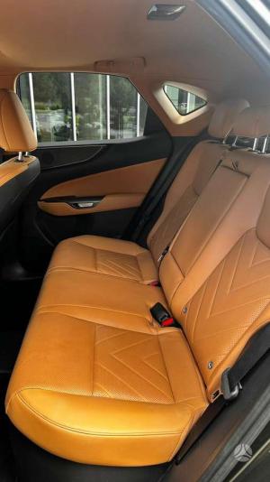 Zaļš Lexus NX 450h 2022 Viļņa, ar dzinēja tilpumu 2.49 L un nobraukumu 118 tūkst. km par 45000 €, foto 10 vietnē AUTOMOTO.COM.LV