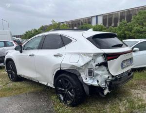 Белый Лексус NX 450h 2025 в Паневежис, объемом двигателя 2.50 л и пробегом 8 тыс. км за 37500 €, фото 8 на AUTOMOTO.COM.LV