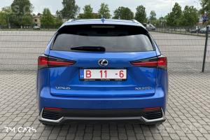 Blue Lexus NX 2019 in Jelgava, with an engine capacity of 2.50 L and mileage of 0 thousand km for 24700 €, photo 6 on AUTOMOTO.COM.LV