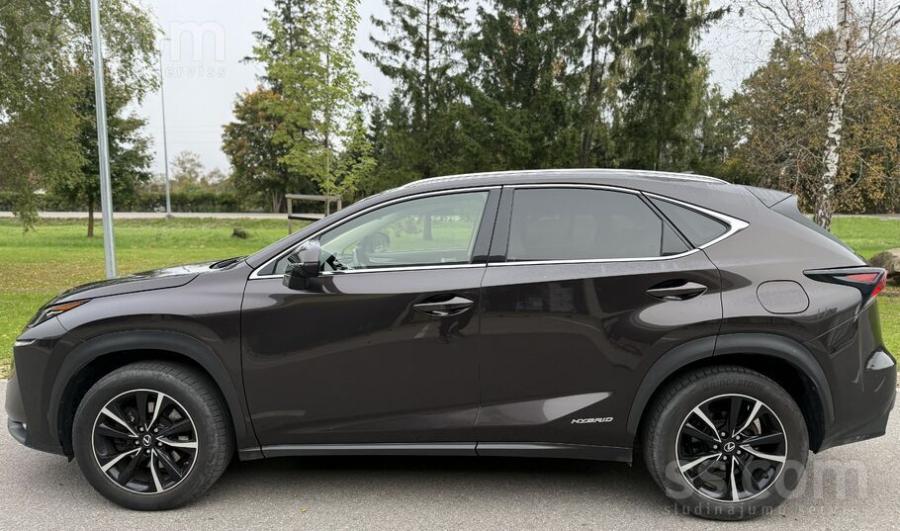Brūns Lexus NX 2014 Rīga, ar dzinēja tilpumu 2.50 L un nobraukumu 143 tūkst. km par 19199 €, foto 6 vietnē AUTOMOTO.COM.LV