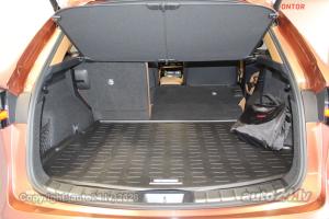 Brown Lexus NX 2025 in Tallinn, with an engine capacity of 2.50 L and mileage of 11 thousand km for 60990 €, photo 11 on AUTOMOTO.COM.LV