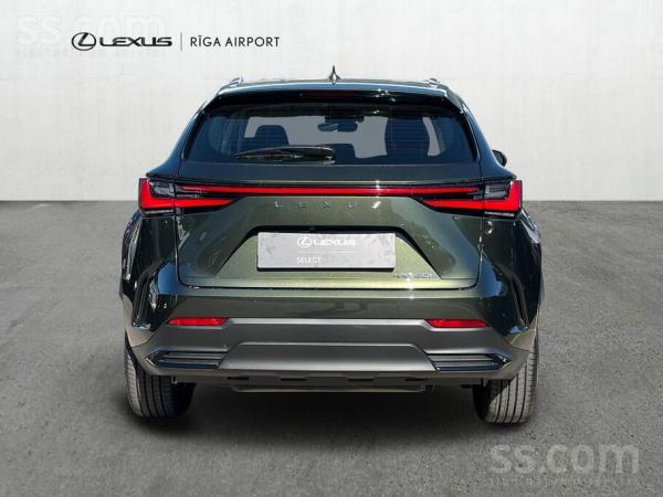Green Lexus NX 2025 in Riga, with an engine capacity of 2.50 L and mileage of 23 thousand km for 52000 €, photo 4 on AUTOMOTO.COM.LV