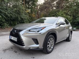 Pelēks Lexus NX 2018 Rīga, ar dzinēja tilpumu 2.50 L un nobraukumu 0 tūkst. km par 23900 €, foto 3 vietnē AUTOMOTO.COM.LV
