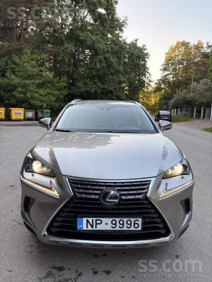 Pelēks Lexus NX 2018 Rīga, ar dzinēja tilpumu 2.50 L un nobraukumu 0 tūkst. km par 23900 €, foto 16 vietnē AUTOMOTO.COM.LV