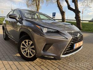 Grey Lexus NX 2018 in Daugavpils, with an engine capacity of 2.50 L and mileage of 209 thousand km for 20450 €, photo 12 on AUTOMOTO.COM.LV