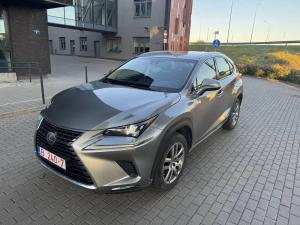 Pelēks Lexus NX 2018 Daugavpils, ar dzinēja tilpumu 2.50 L un nobraukumu 157 tūkst. km par 21200 €, foto 4 vietnē AUTOMOTO.COM.LV