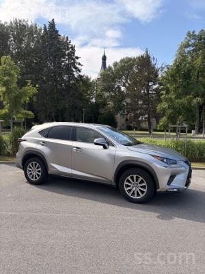 Grey Lexus NX 2018 in Riga, with an engine capacity of 2.50 L and mileage of 0 thousand km for 19100 €, photo 5 on AUTOMOTO.COM.LV