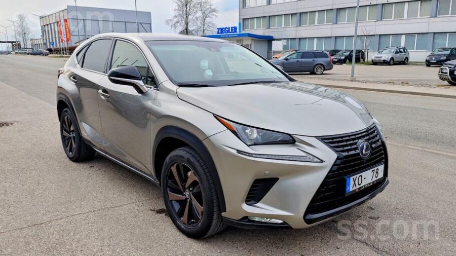 Grey Lexus NX 2019 in Daugavpils, with an engine capacity of 2.50 L and mileage of 242 thousand km for 21500 €, photo 8 on AUTOMOTO.COM.LV