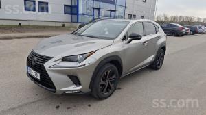 Grey Lexus NX 2019 in Daugavpils, with an engine capacity of 2.50 L and mileage of 254 thousand km for 19900 €, photo 2 on AUTOMOTO.COM.LV