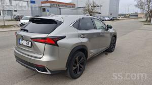 Grey Lexus NX 2019 in Daugavpils, with an engine capacity of 2.50 L and mileage of 254 thousand km for 19900 €, photo 7 on AUTOMOTO.COM.LV