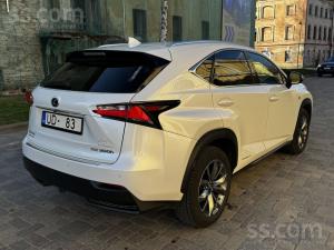 Balts Lexus NX 2016 Daugavpils, ar dzinēja tilpumu 2.50 L un nobraukumu 0 tūkst. km par 20990 €, foto 7 vietnē AUTOMOTO.COM.LV