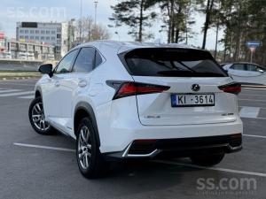 Balts Lexus NX 2017 Rīga, ar dzinēja tilpumu 2.50 L un nobraukumu 0 tūkst. km par 37900 €, foto 5 vietnē AUTOMOTO.COM.LV
