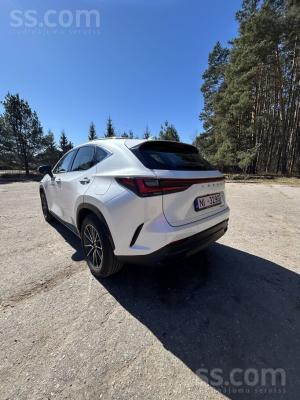 White Lexus NX 2022 in Jurmala, with an engine capacity of 2.50 L and mileage of 43 thousand km for 41500 €, photo 6 on AUTOMOTO.COM.LV