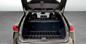 Zaļš Lexus RX 450h 2023 Viļņa, ar dzinēja tilpumu 2.49 L un nobraukumu 55 tūkst. km par 62000 €, foto 11 vietnē AUTOMOTO.COM.LV