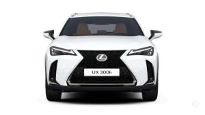 Белый Лексус UX 300h 2026 в Каунас, объемом двигателя 1.99 л и пробегом 5 тыс. км за 41360 €, фото 9 на AUTOMOTO.COM.LV