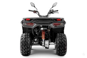 Loncin Xwolf 300 2025 in Utena, with an engine capacity of 0.27 L and mileage of 1 thousand km for 4290 €, photo 5 on AUTOMOTO.COM.LV
