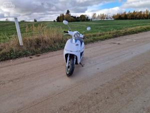 Balts Mash Fifty 2019 Šauļi, ar dzinēja tilpumu 0.05 L un nobraukumu 13 tūkst. km par 600 €, foto 3 vietnē AUTOMOTO.COM.LV