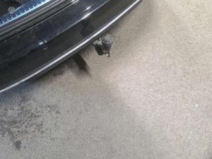 Melns Mercedes-Benz C 180 2021 Viļņa, ar dzinēja tilpumu 1.50 L un nobraukumu 124 tūkst. km par 22265 €, foto 12 vietnē AUTOMOTO.COM.LV