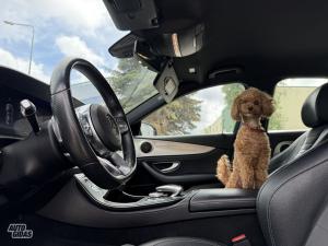 Mercedes-Benz e-200 2019 Kauņa, ar dzinēja tilpumu 2.00 L un nobraukumu 300 tūkst. km par 15900 €, foto 23 vietnē AUTOMOTO.COM.LV