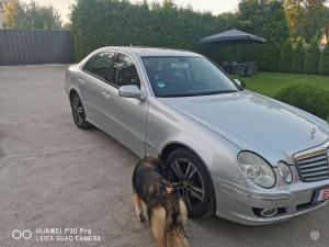 Pelēks Mercedes-Benz E 320 2009 Prienai, ar dzinēja tilpumu 2.99 L un nobraukumu 315 tūkst. km par 4150 €, foto 5 vietnē AUTOMOTO.COM.LV