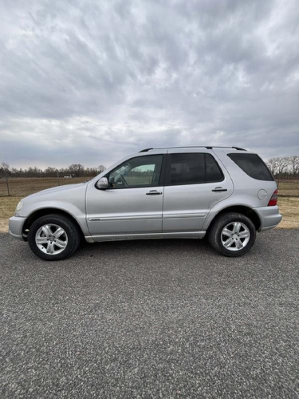 Grey Mercedes-Benz ML 270 2005 in Rapina, with an engine capacity of 2.70 L and mileage of 348 thousand km for 3600 €, photo 2 on AUTOMOTO.COM.LV