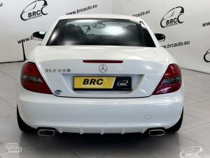 Белый Мерседес SLK 280 2008 в Авиженяй, объемом двигателя 3.00 л и пробегом 269 тыс. км за 11500 €, фото 36 на AUTOMOTO.COM.LV
