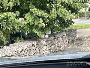 Pelēks Nissan Qashqai 2022 Rīga, ar dzinēja tilpumu 1.30 L un nobraukumu 52 tūkst. km par 25500 €, foto 8 vietnē AUTOMOTO.COM.LV